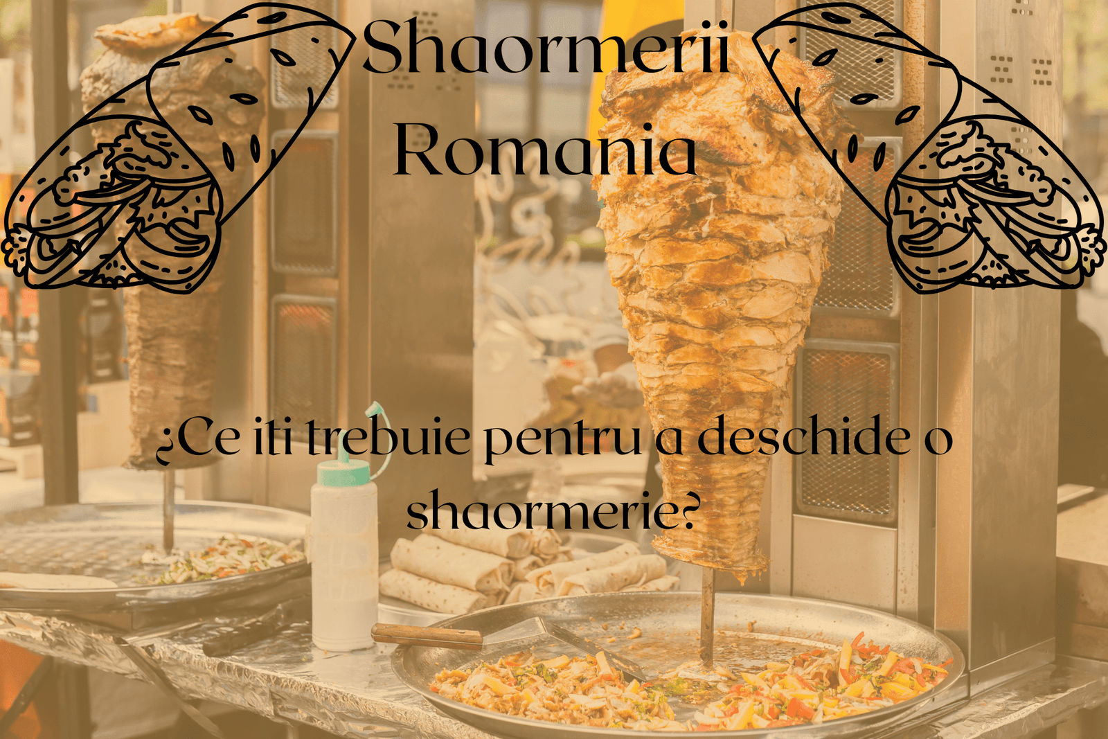 【Ce iti trebuie pentru a deschide o shaormerie de succes】